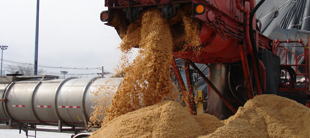 Magic Salt® and Treated Salt – Rock salt treated with deicer made of ...